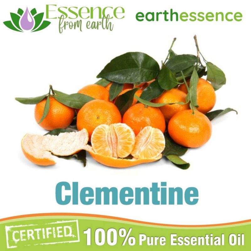 Clementine Essential Oil – Essence From Earth