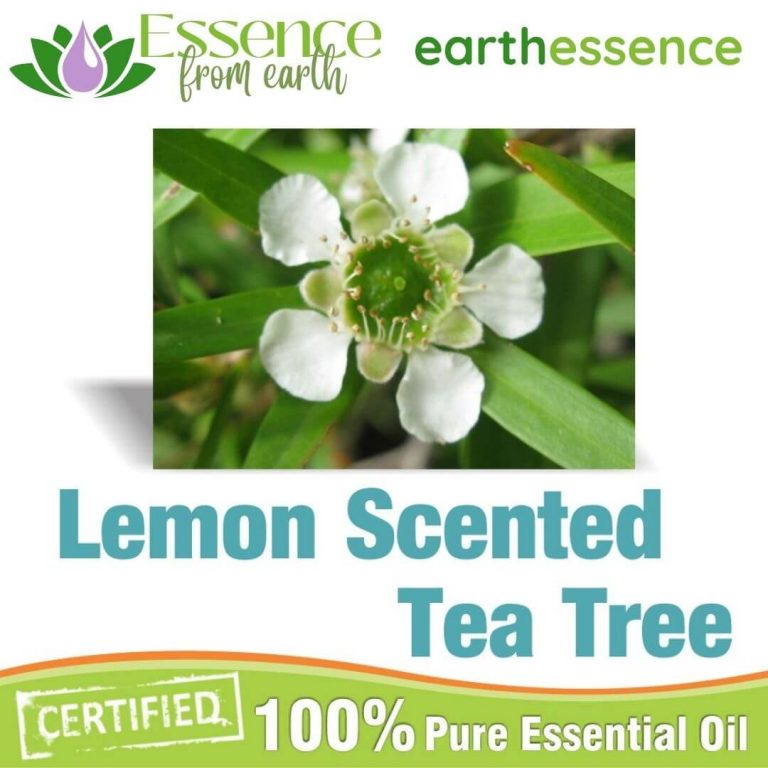 Lemon Scented Tea Tree Essential Oil – Essence From Earth