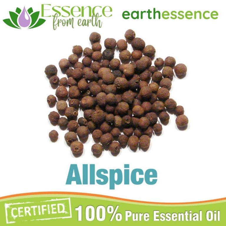 Allspice Essential Oil – Essence From Earth