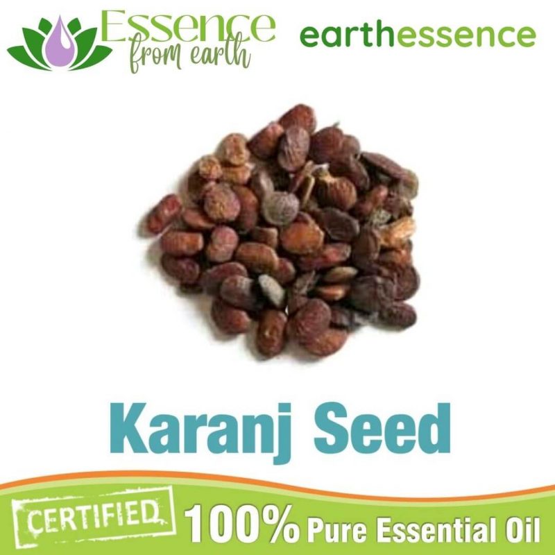 Karanj Seed Essential Oil – Essence From Earth